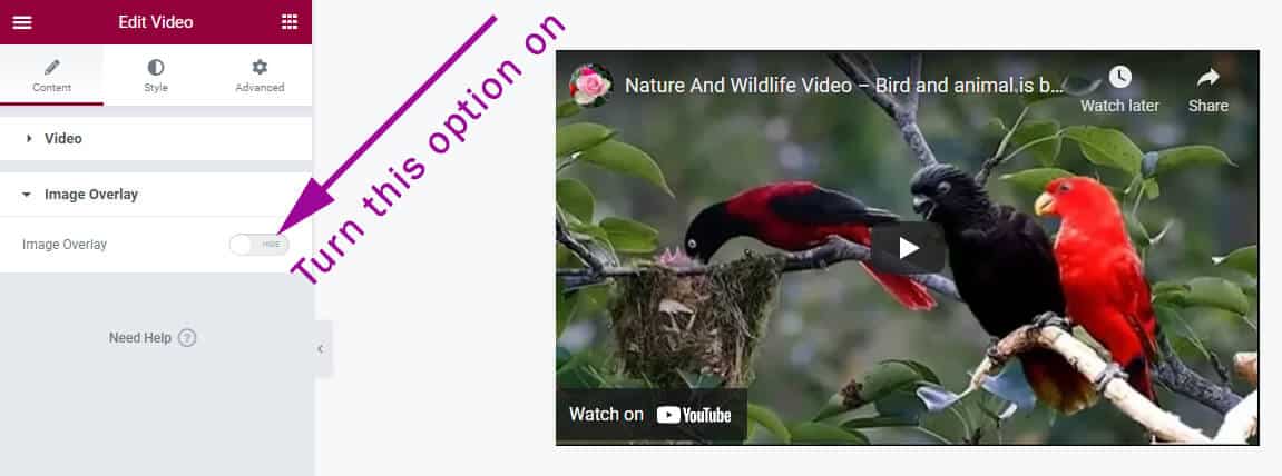 How to add an Elementor lightbox video (dynamic popup)?